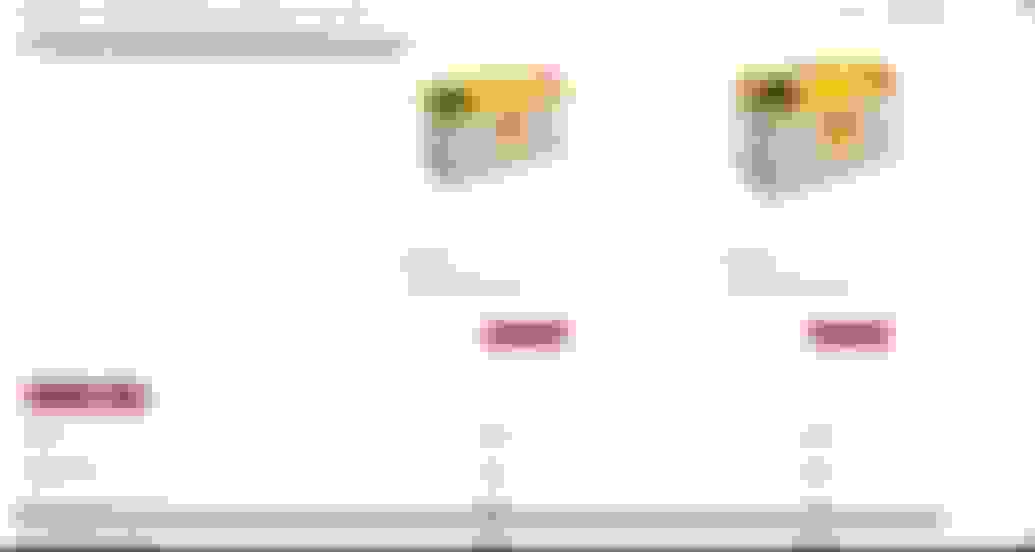 Car battery - Autonation Precision Parts brand? - Page 2 - AudiWorld Forums