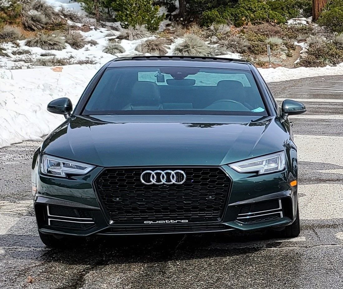 ECS CF Grill Accents (A4 B9 Pre-Facelift) - AudiWorld Forums