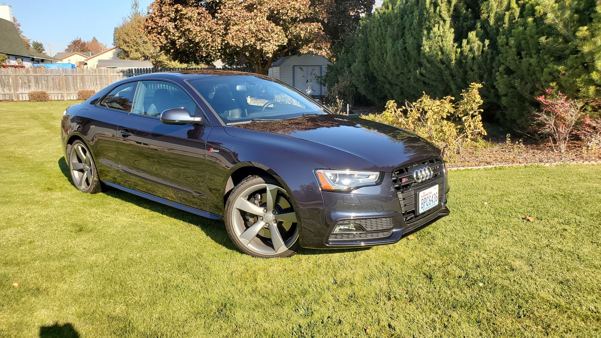 Midnight Blue Audi S5