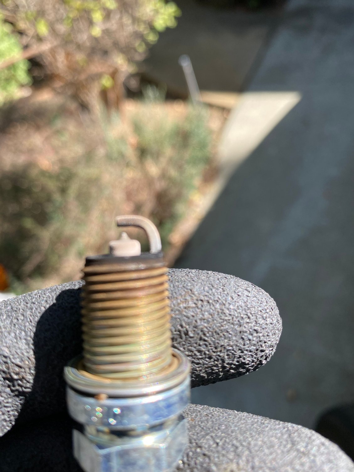 Spark plugs? - AudiWorld Forums