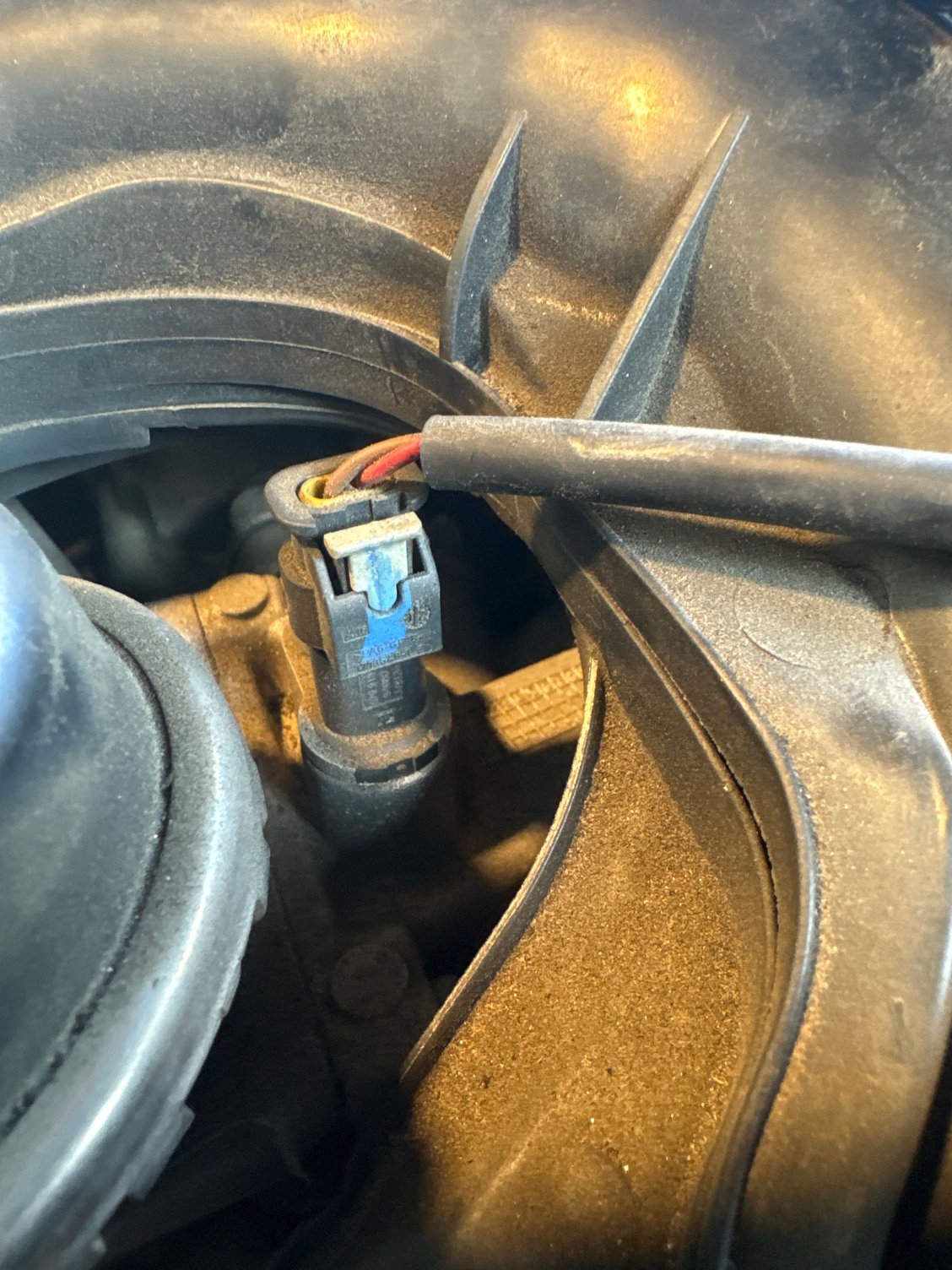 How do you remove this plug? - AudiWorld Forums