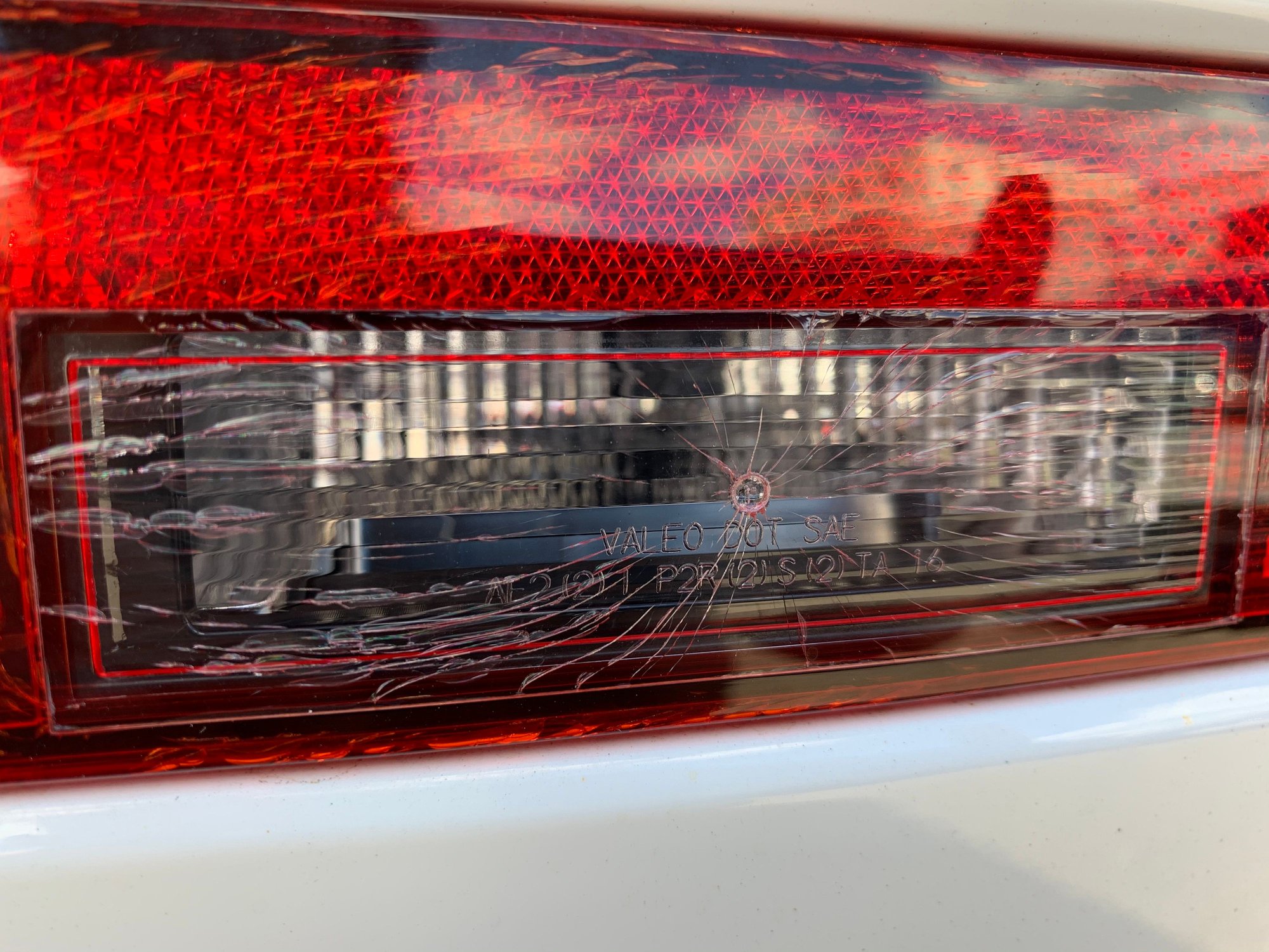 Tail Light Lens - AudiWorld Forums