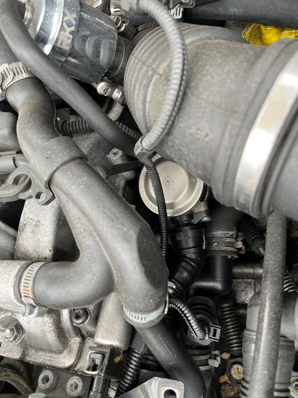 oil leak driver side (US) top of engine - AudiWorld Forums