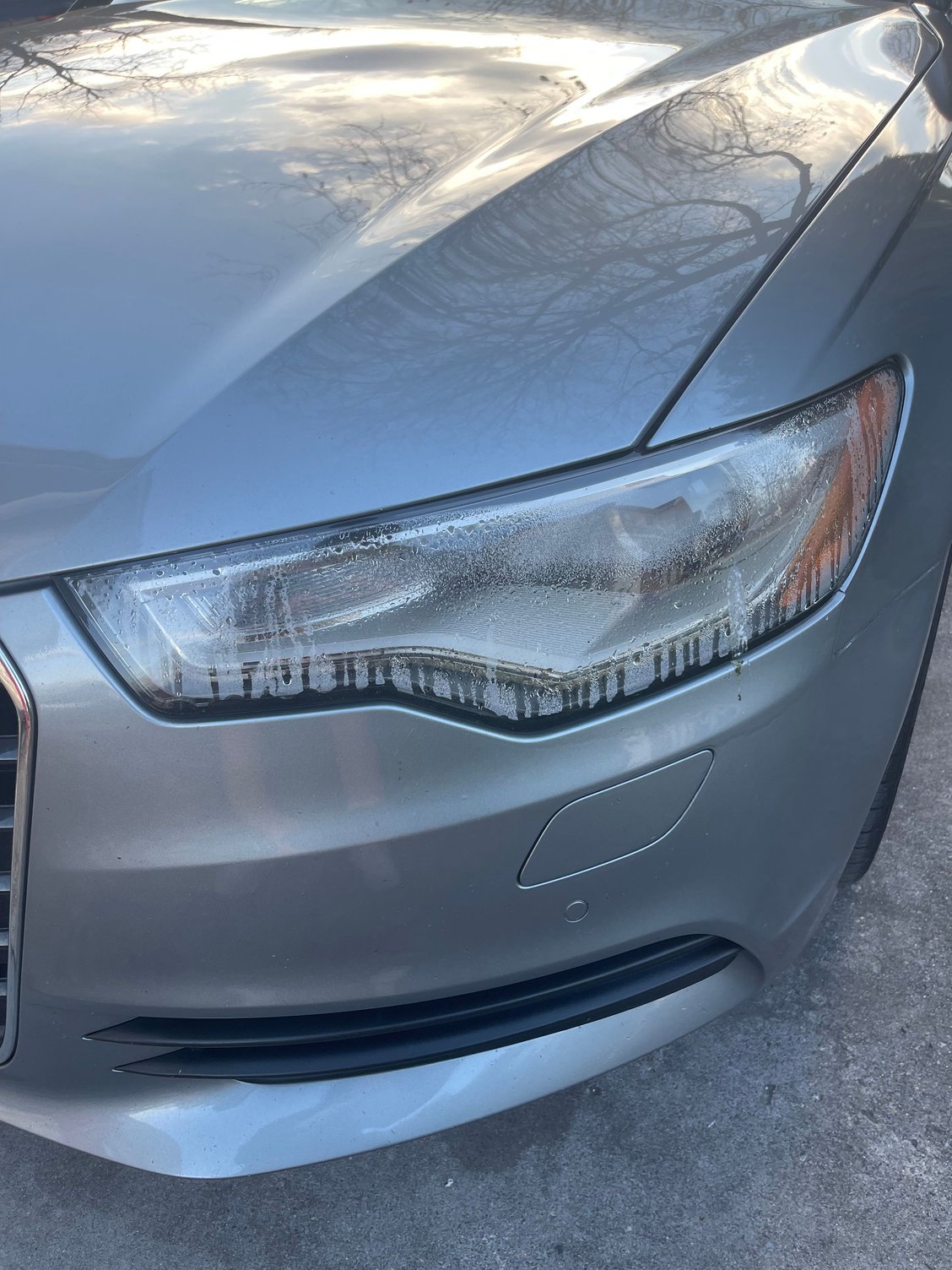 Headlight moisture - AudiWorld Forums