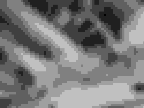 Exhaust temperature sensor problem - AudiWorld Forums