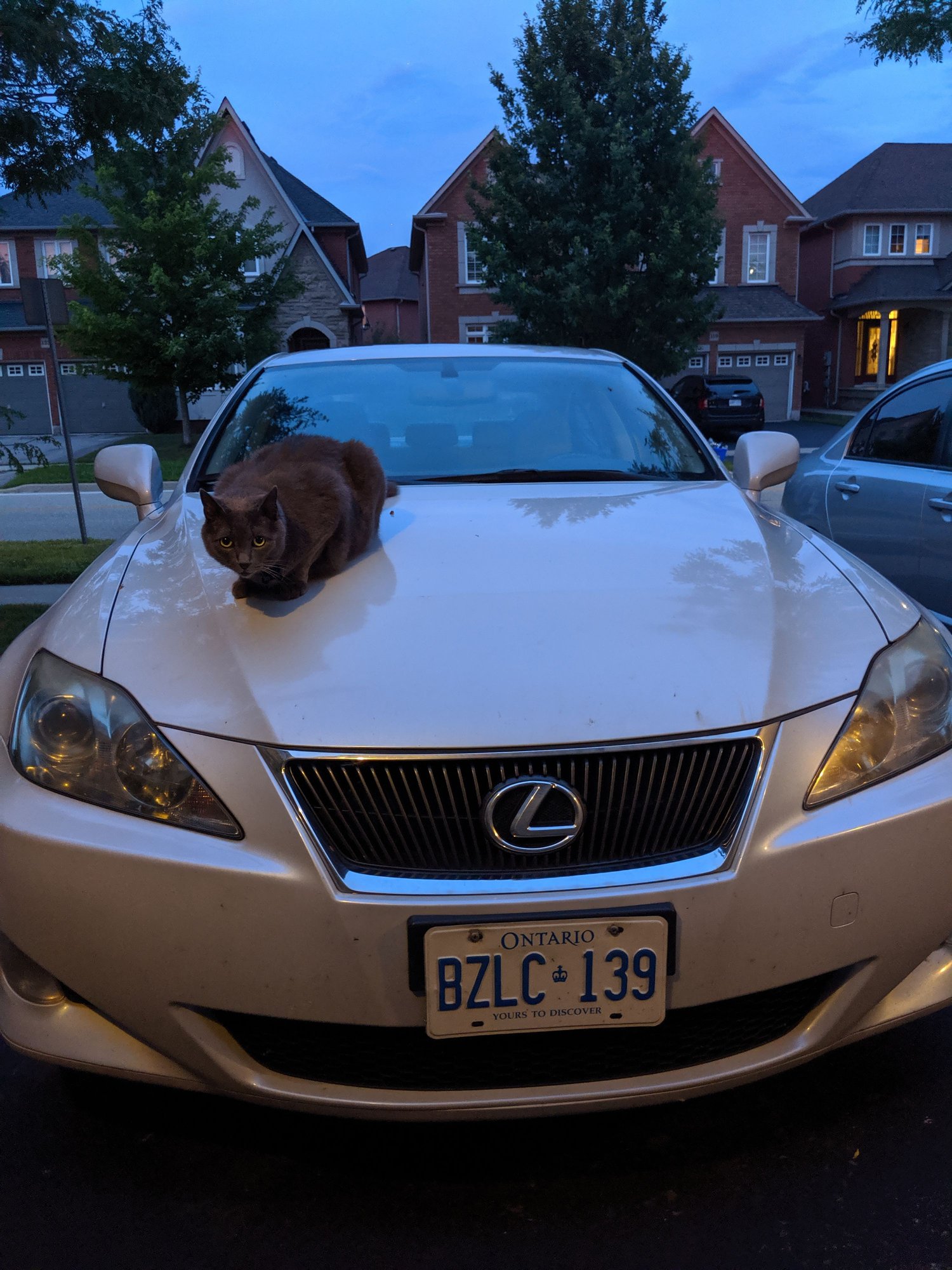 Recommended HID retrofit kit for 2008 IS250 AWD that has OEM halogens ...