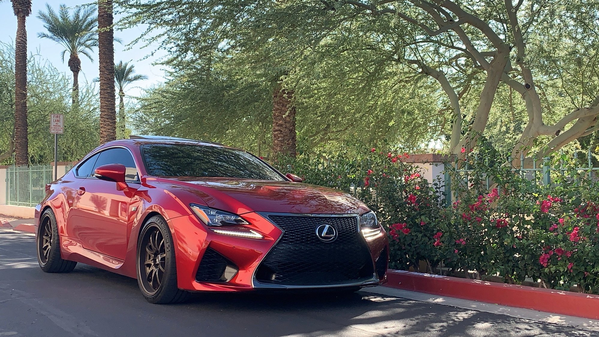2015 Infrared RC-F Lowered on Volk's - ClubLexus - Lexus Forum Discussion