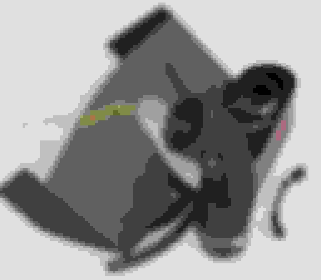 C6 Corvette Halltech Super Bee MF103 Intake Available Here at ...