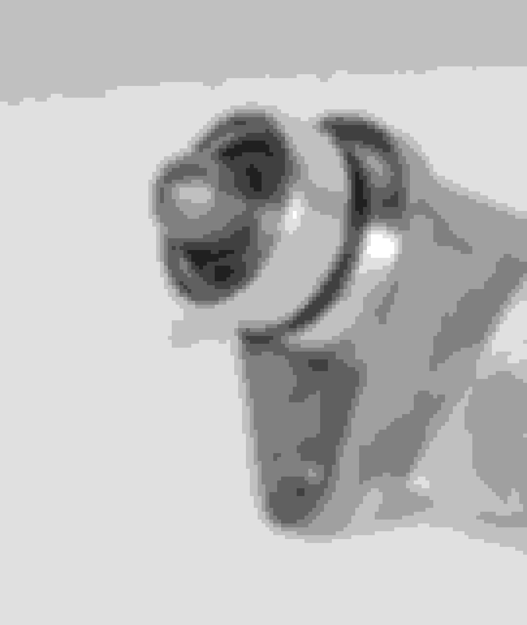 C5 corvette reverse lockout replacement question - CorvetteForum ...