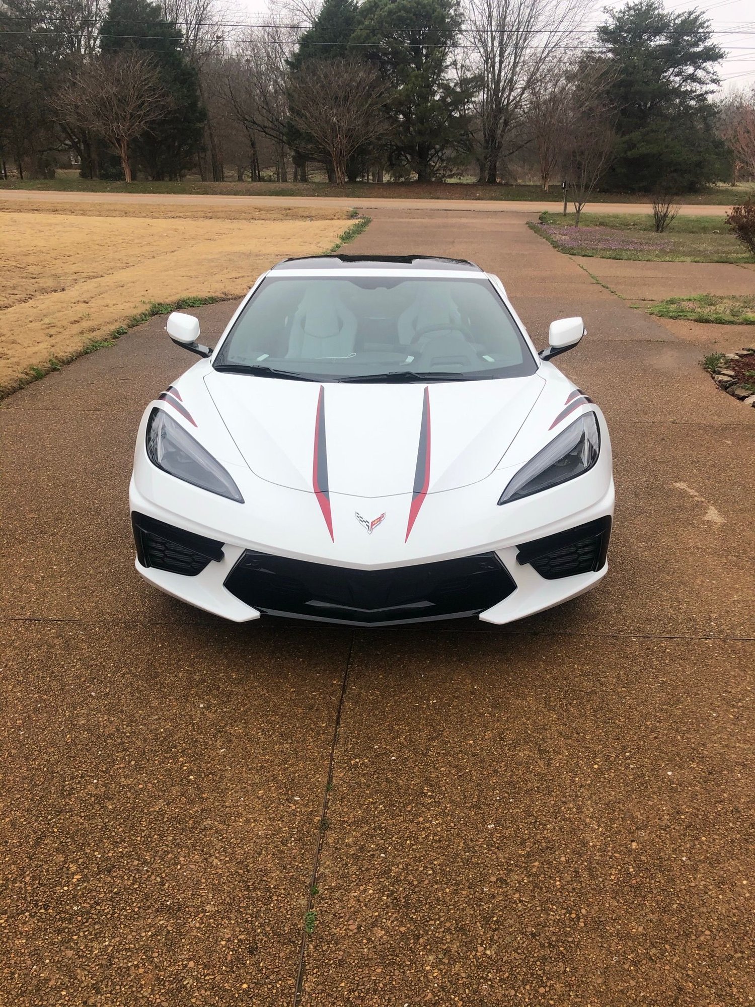 Racing Stripes color combinations - CorvetteForum - Chevrolet Corvette ...