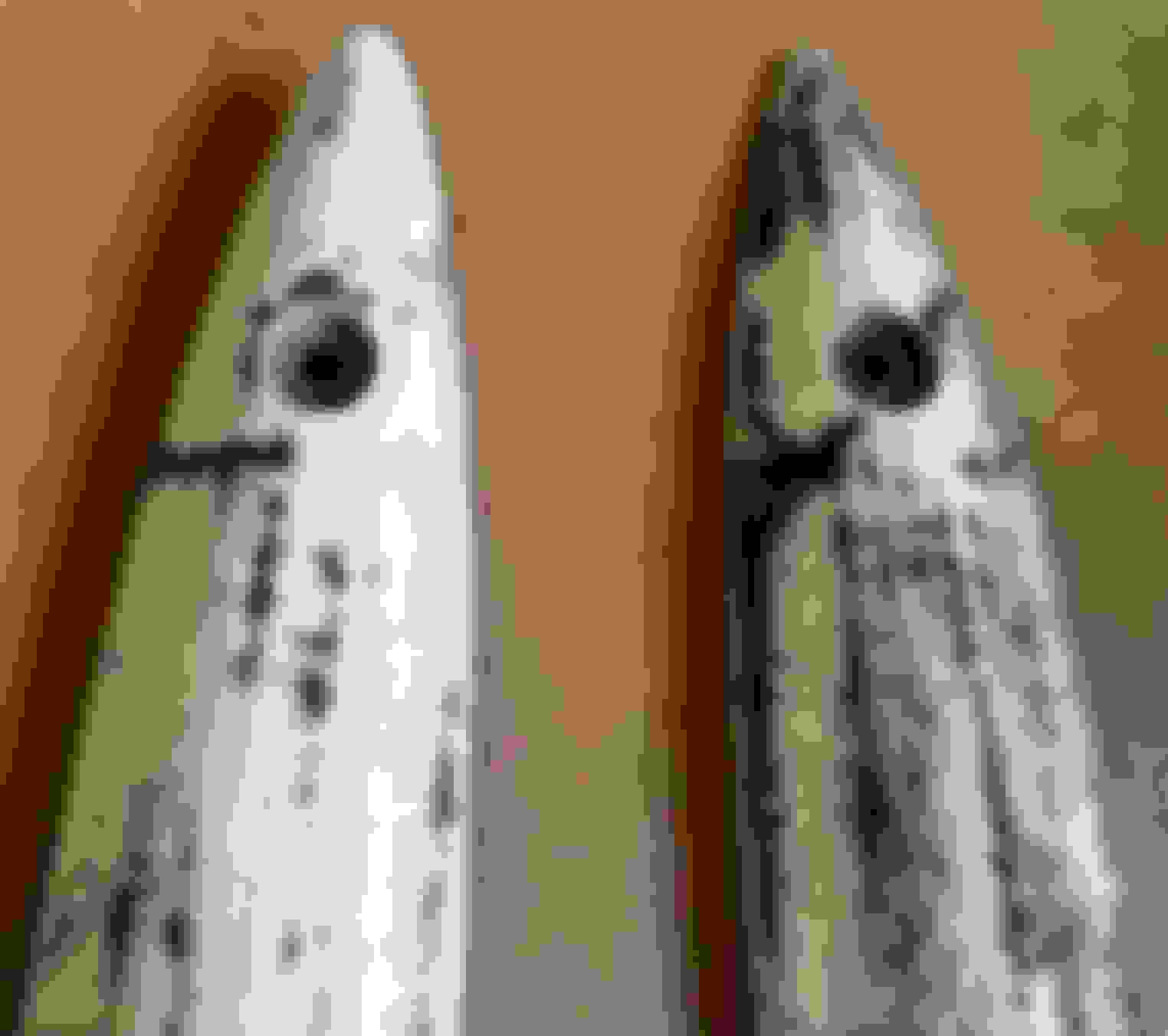 FS (For Sale) 1953 - early 1954 Inner Door Puls (2) 3-hole design ...