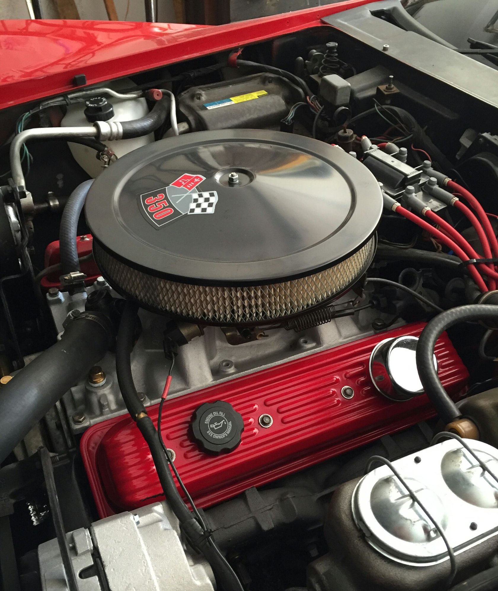 Pretty 350 engines? - CorvetteForum - Chevrolet Corvette Forum Discussion