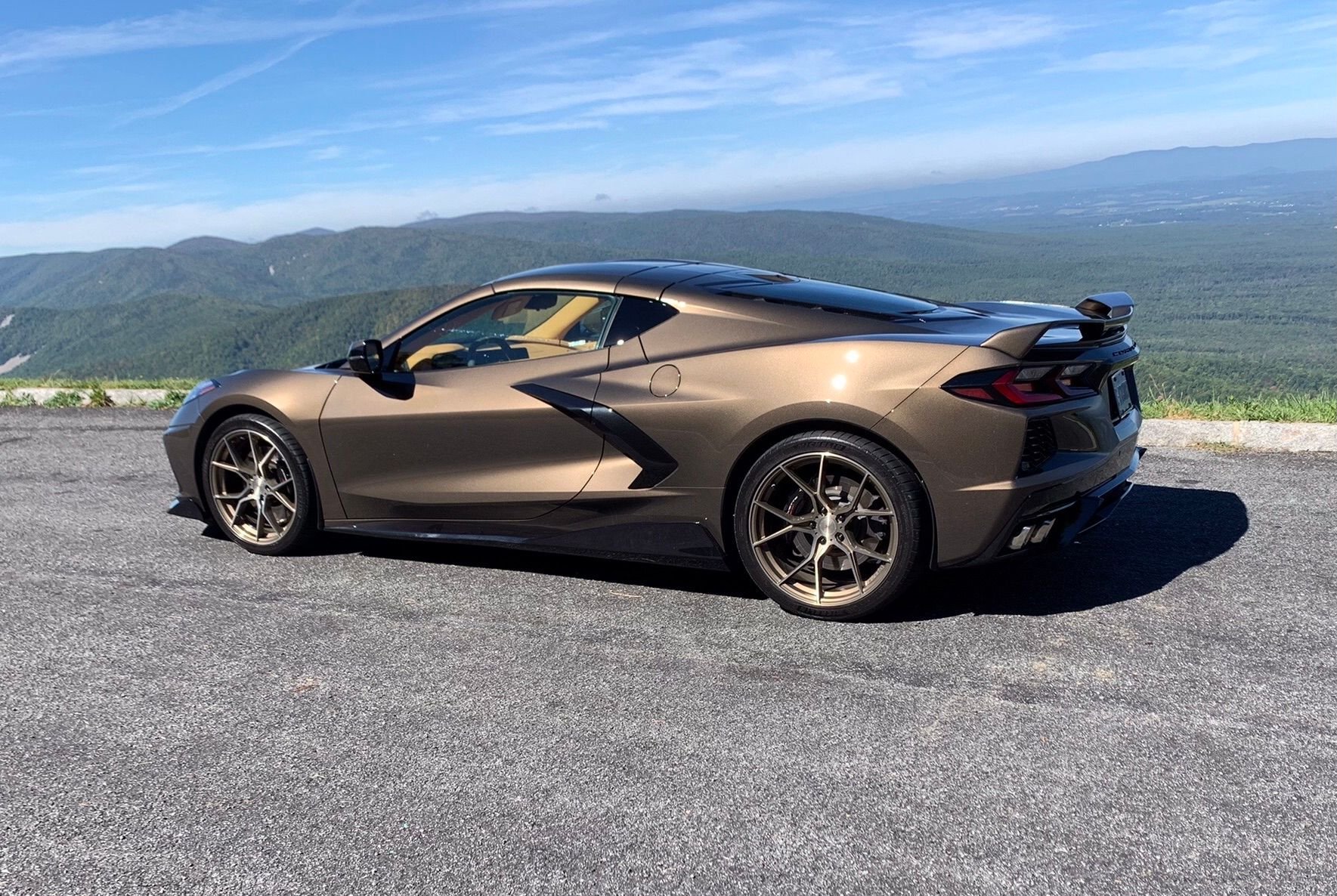 Official Zeus Bronze Metallic Color Thread - Page 3 - CorvetteForum ...