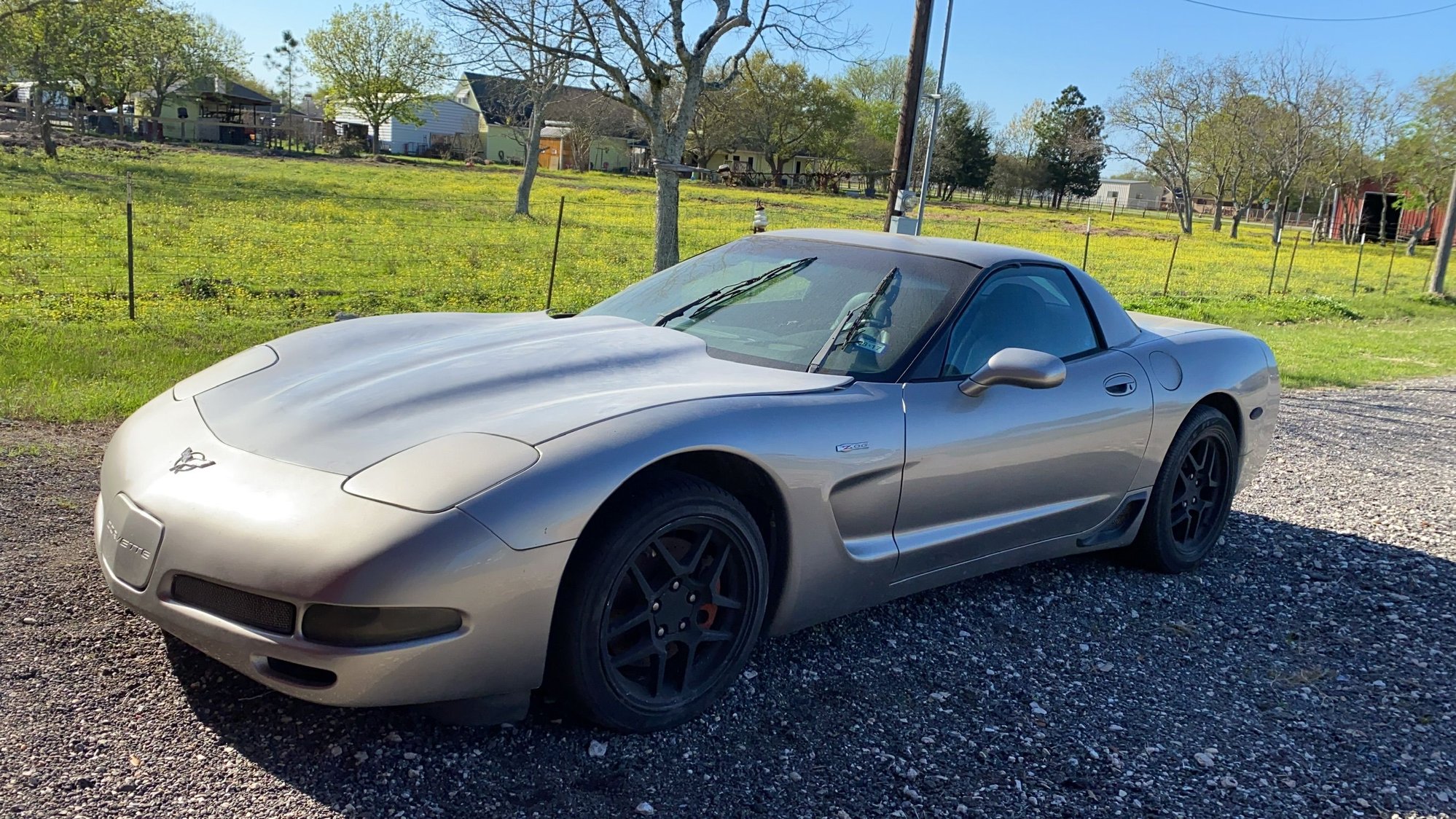 Z06 C5 Aztec gold zo6 - CorvetteForum - Chevrolet Corvette Forum Discussion