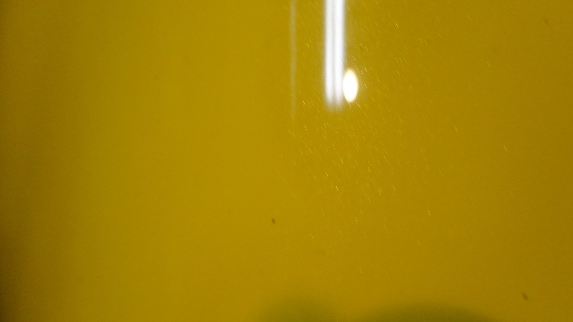 Yellow Pearl paint ???? - CorvetteForum - Chevrolet Corvette Forum ...