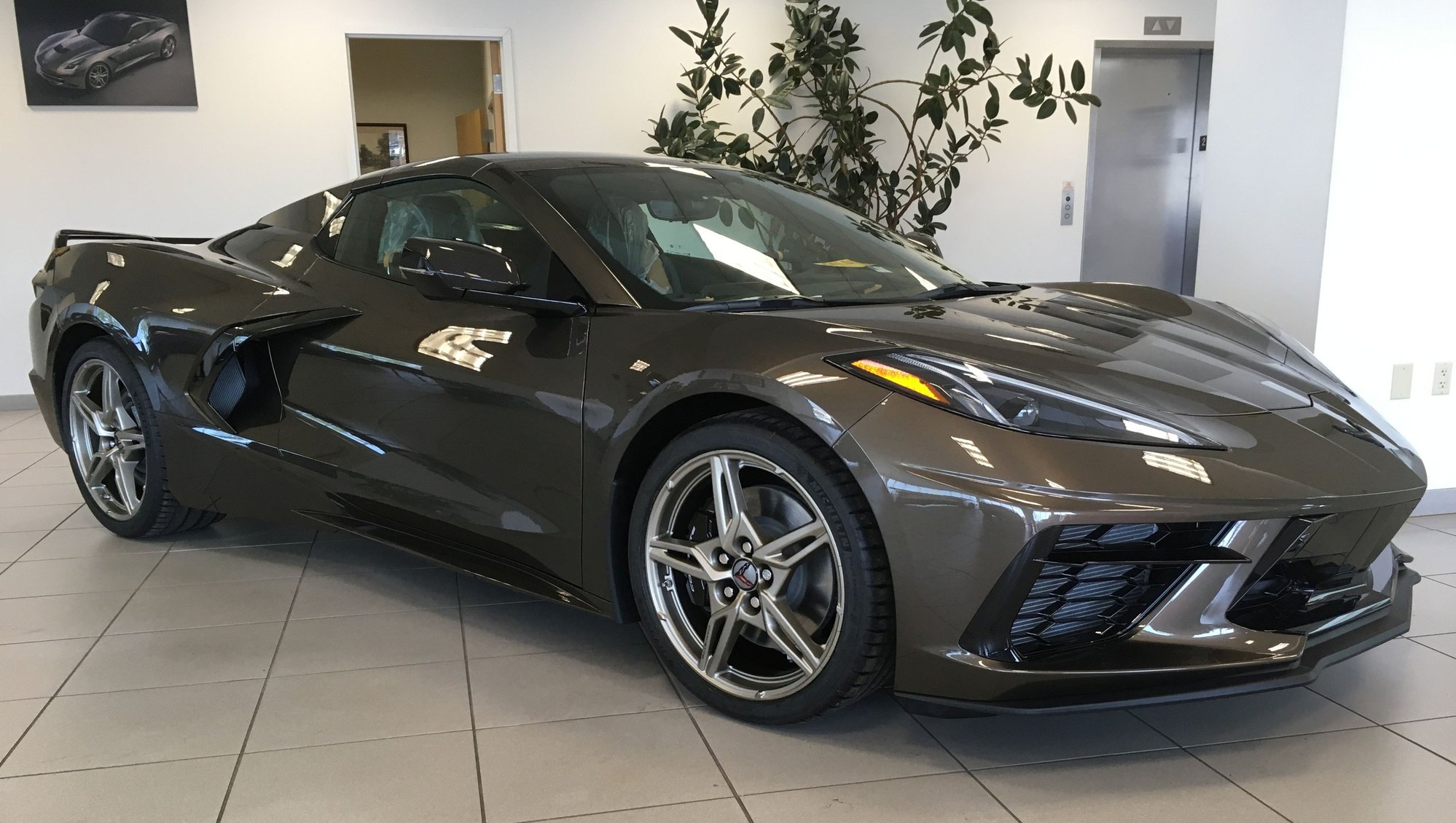 Official Zeus Bronze Metallic Color Thread - Page 3 - CorvetteForum ...