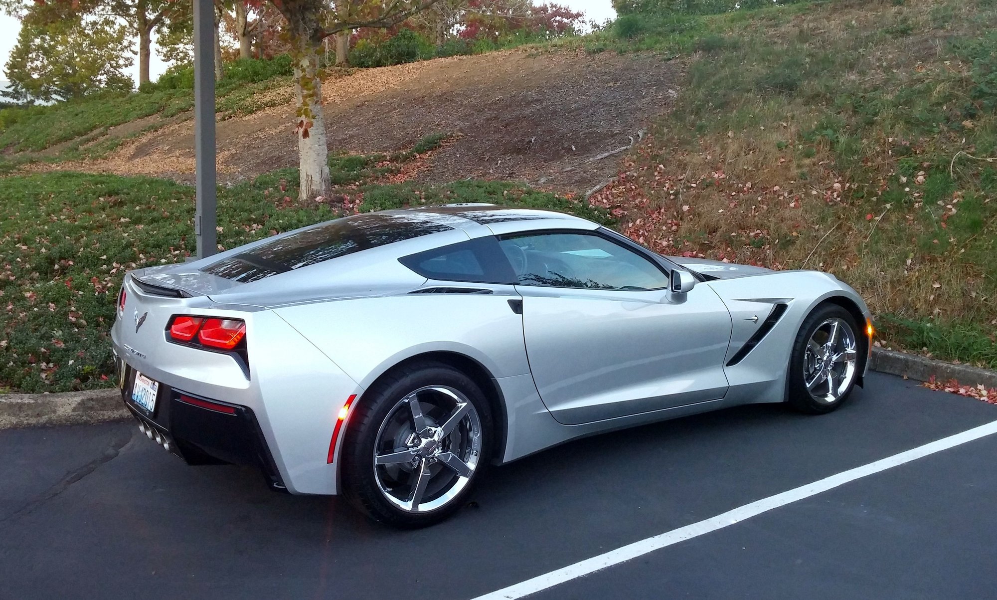 Official Silver C7 pic thread - Page 18 - CorvetteForum - Chevrolet ...