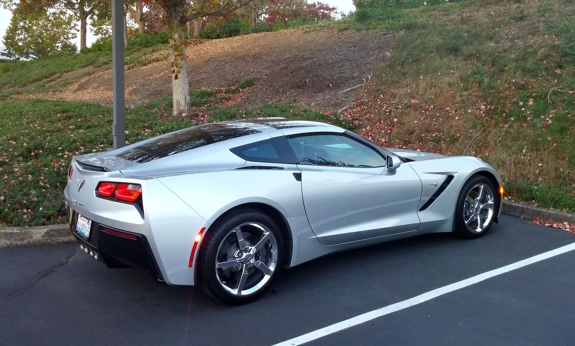 Official Silver C7 pic thread - Page 18 - CorvetteForum - Chevrolet ...
