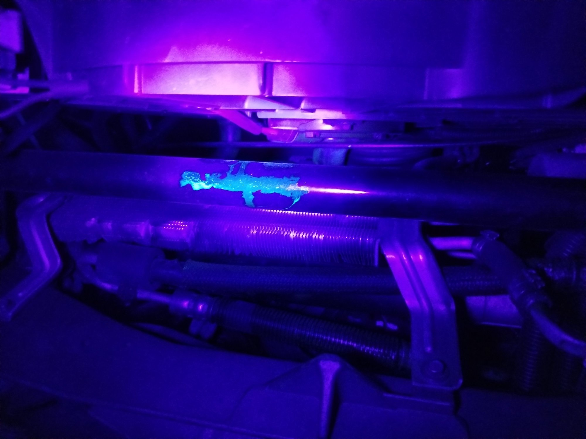 C6 Z06 - Help diagnose oil leak - UV Light pictures inside ...