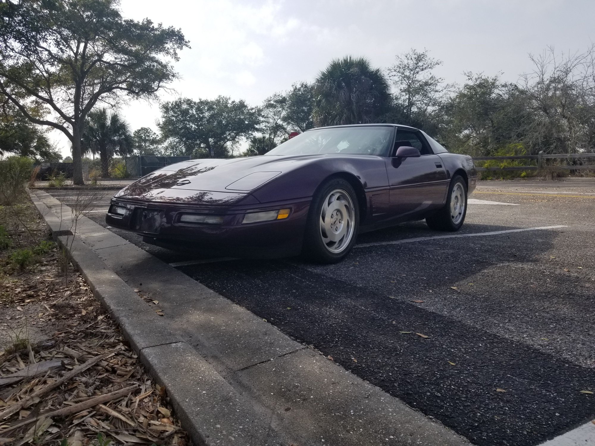 The Dark Purple Metallic Thread - CorvetteForum - Chevrolet Corvette ...