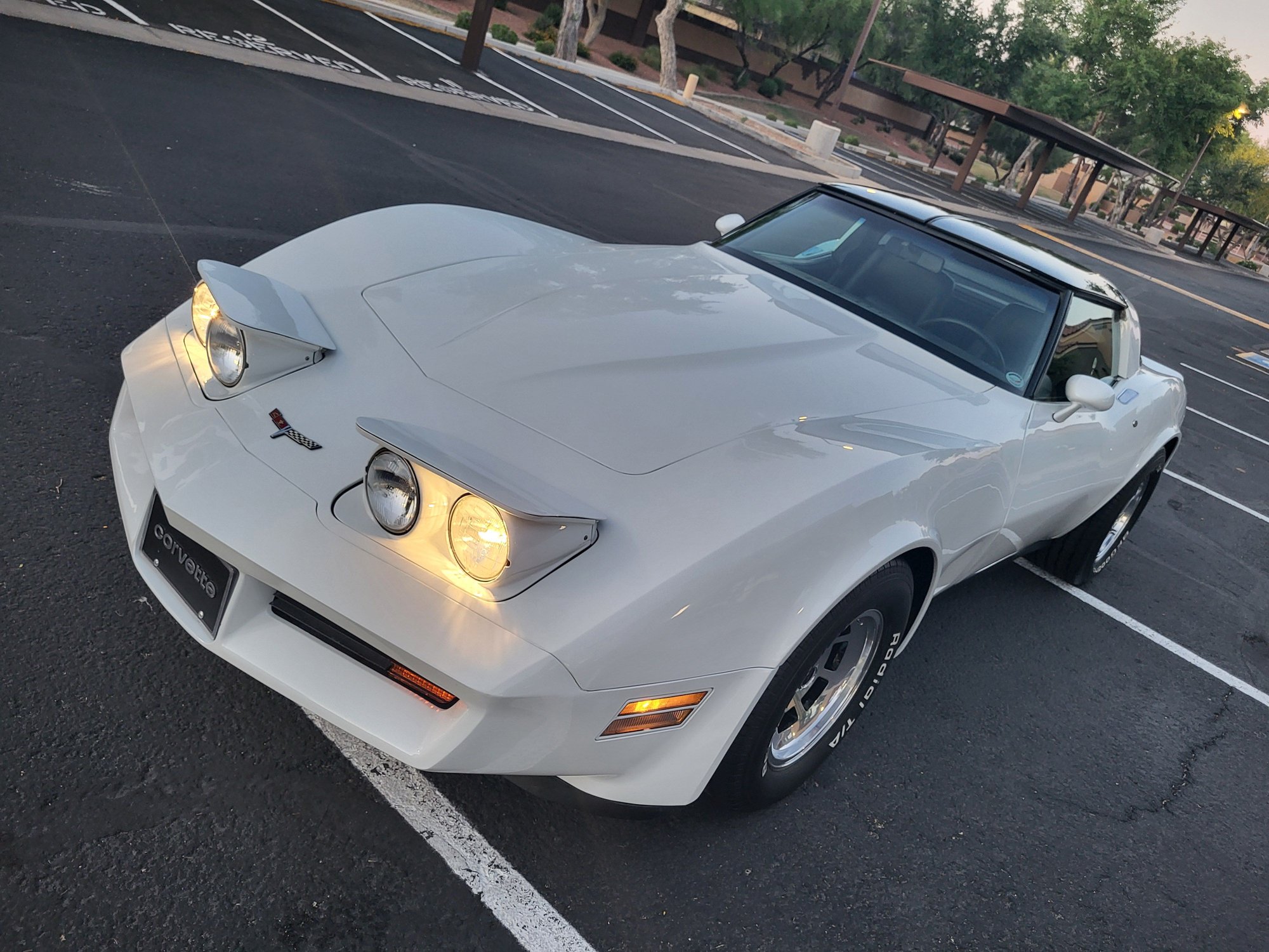 FS (For Sale) Exceptional 1980 L48 corvette - CorvetteForum - Chevrolet ...