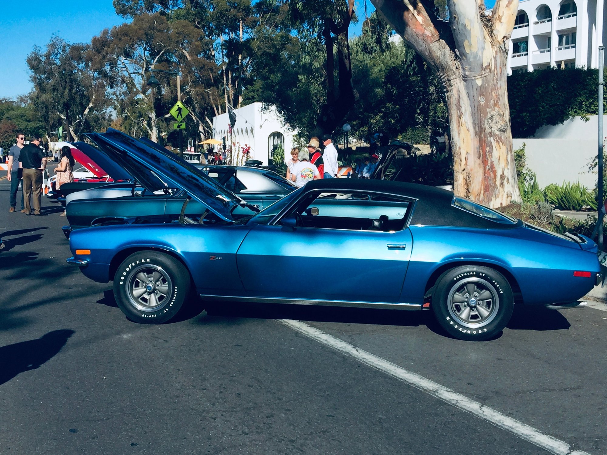 Mulsanne blue v. Nassau Blue - CorvetteForum - Chevrolet Corvette Forum ...