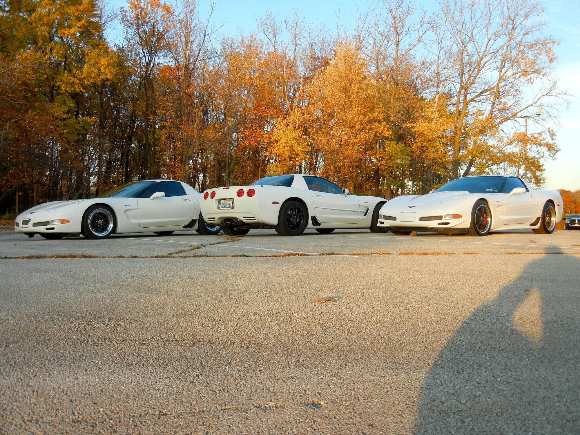 Z06 Swz - CorvetteForum - Chevrolet Corvette Forum Discussion