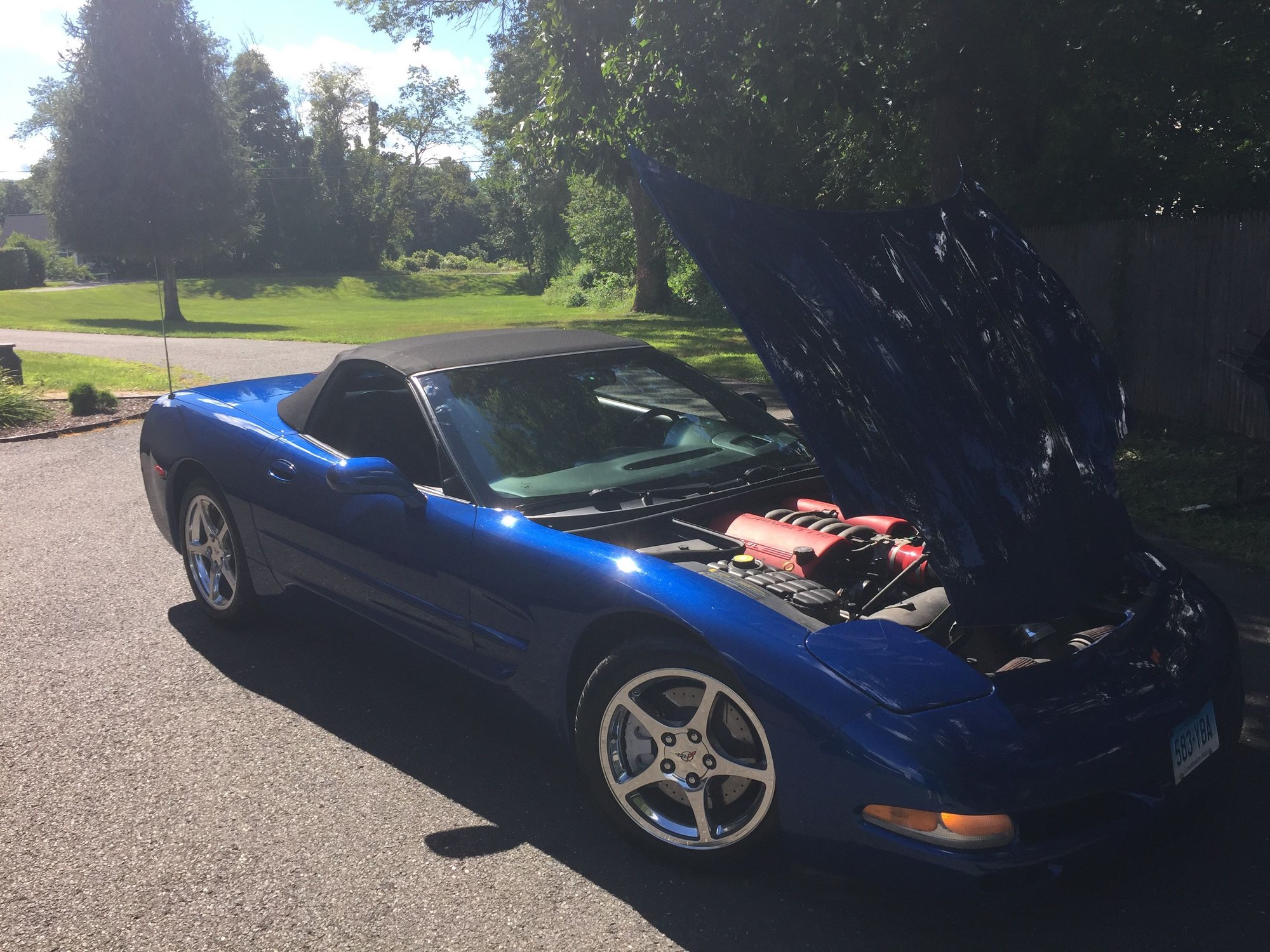 2002 C5 Electron Blue 6spd Conv. 31k original owner - CorvetteForum ...