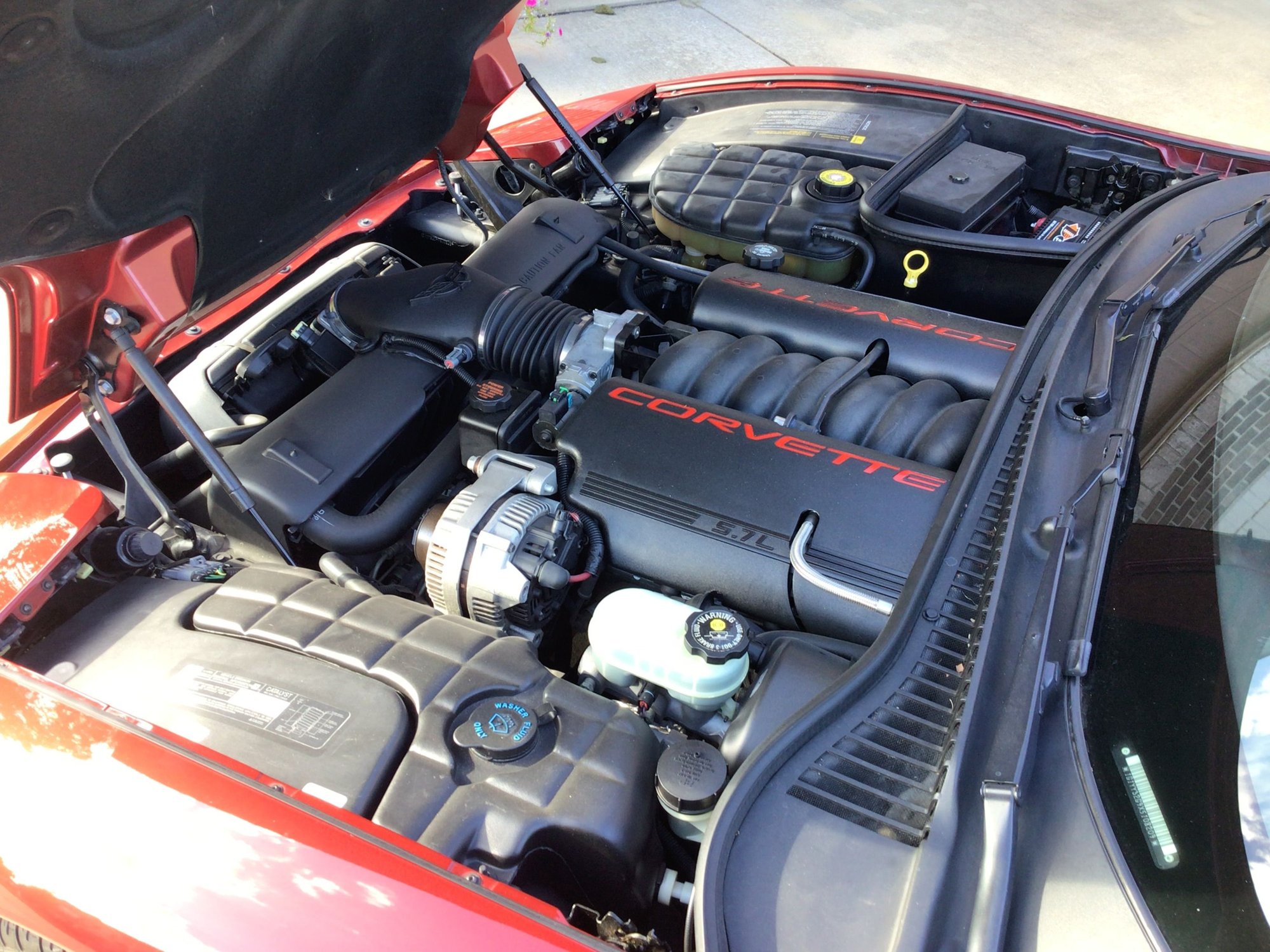 FS (For Sale) 99 Mag Red Convertible $18,500 - CorvetteForum ...