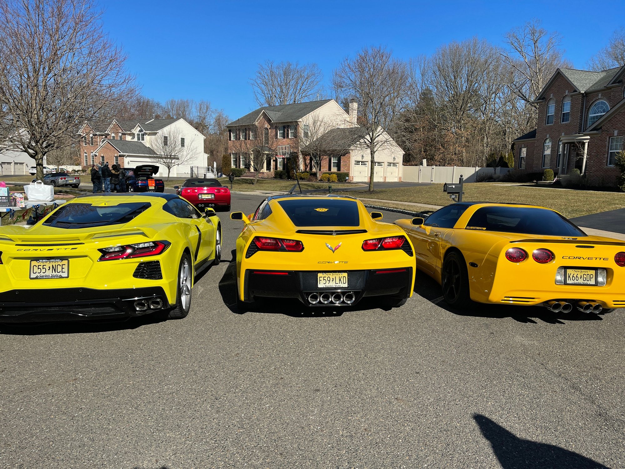 Side By Side Accelerate Yellow - Velocity Yellow - Millenimum Yellow ...