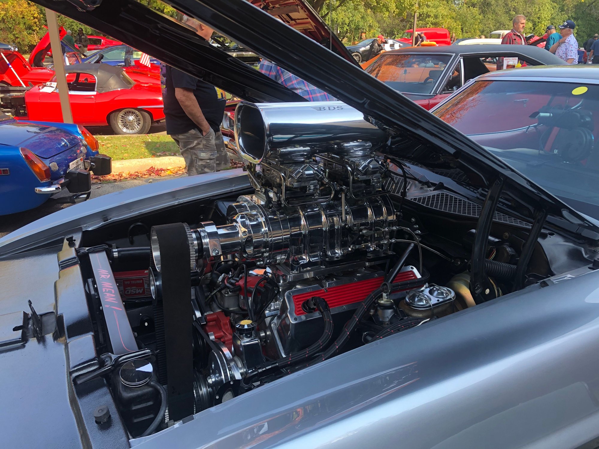 Brookdale Lisle Car Show Pics - CorvetteForum - Chevrolet Corvette ...