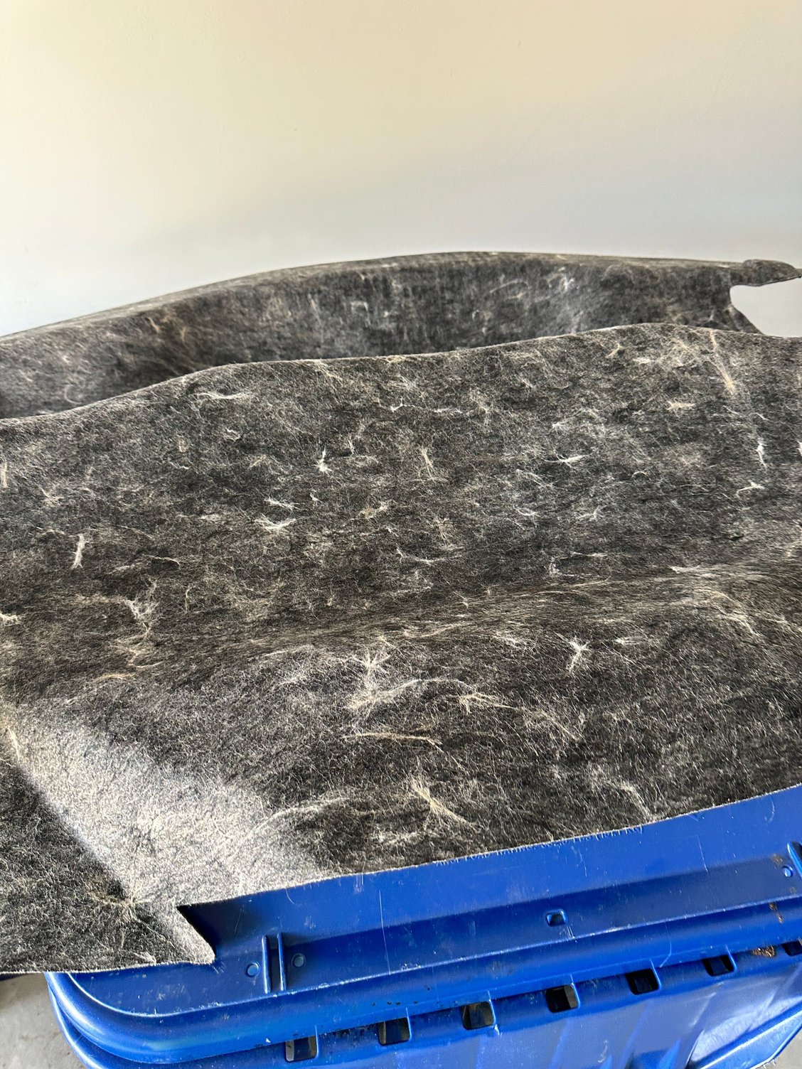 Hot Trunk in Florida - CorvetteForum - Chevrolet Corvette Forum Discussion