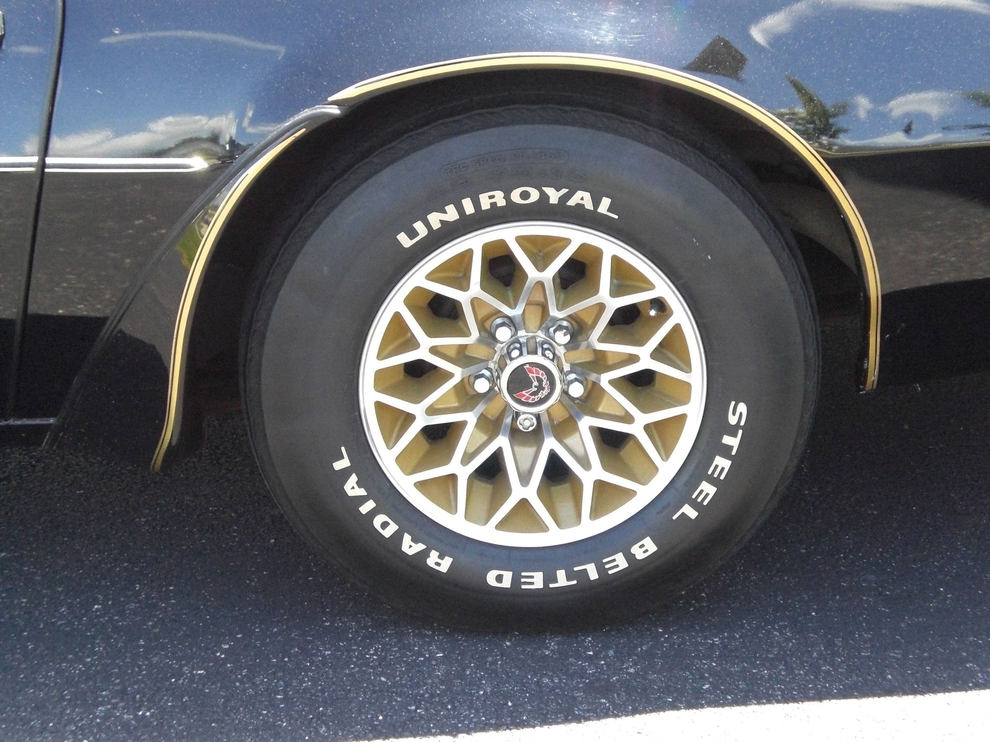 C2 Survivor definition - CorvetteForum - Chevrolet Corvette Forum ...