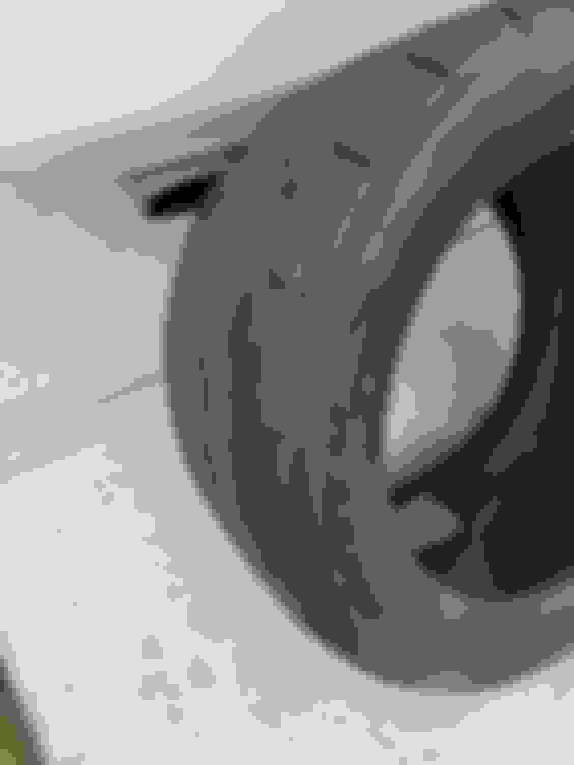 FS (For Sale) Brand New Nitto 555Rii Tires. 315/40/18 - CorvetteForum ...