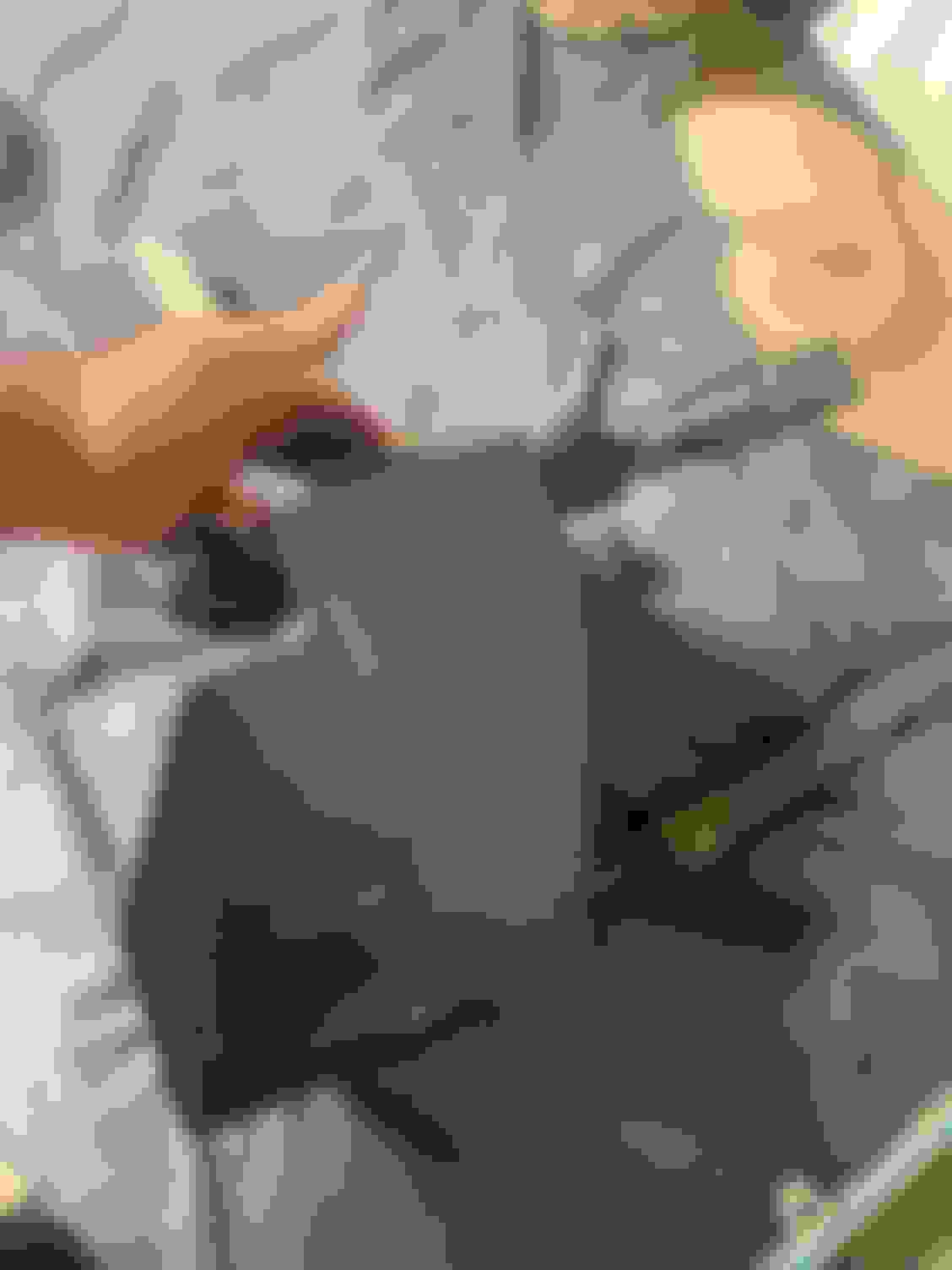 FS (For Sale) Zr1 Kong HD, ls9 LID, synergy tank, Pump, Meth kit etc ...