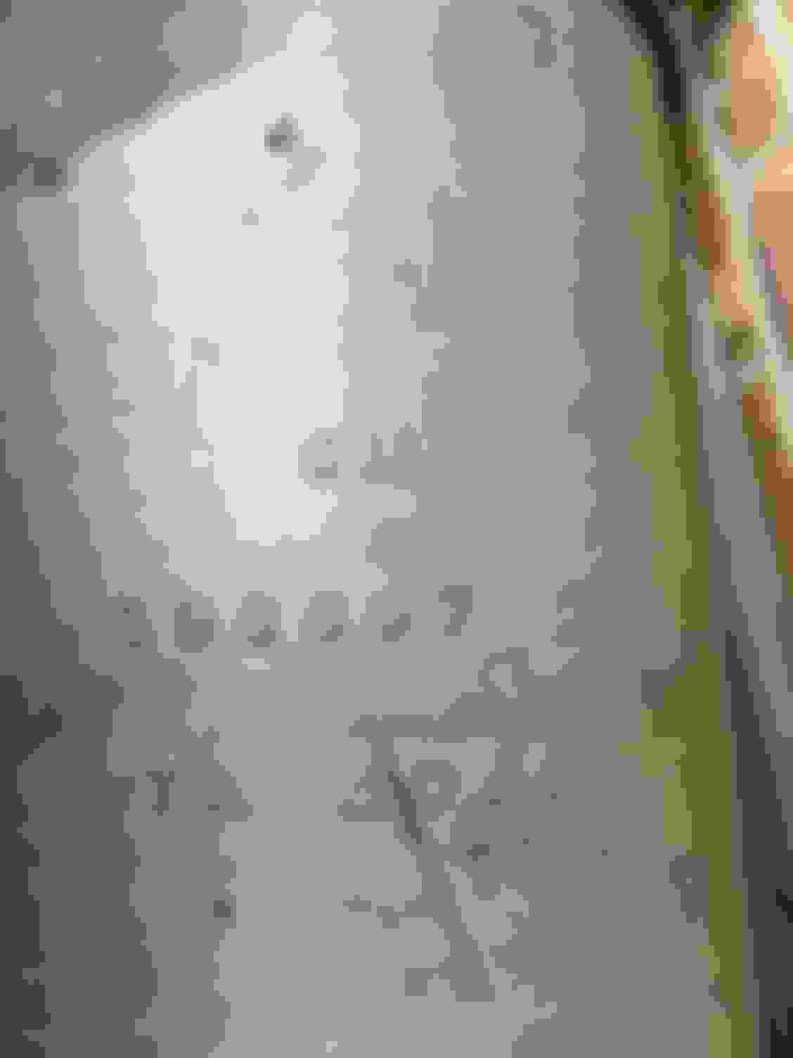 FS (For Sale) Z06 3 inch npp mufflers. - CorvetteForum - Chevrolet ...