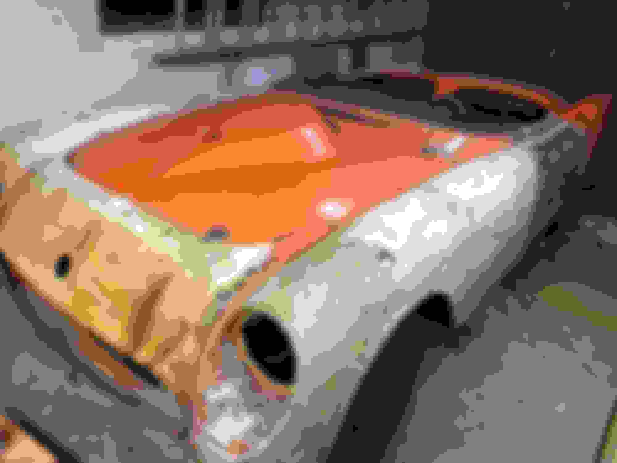 WTB (Want To Buy) Vintage Reverse Tear Drop Hood for my 61 ...