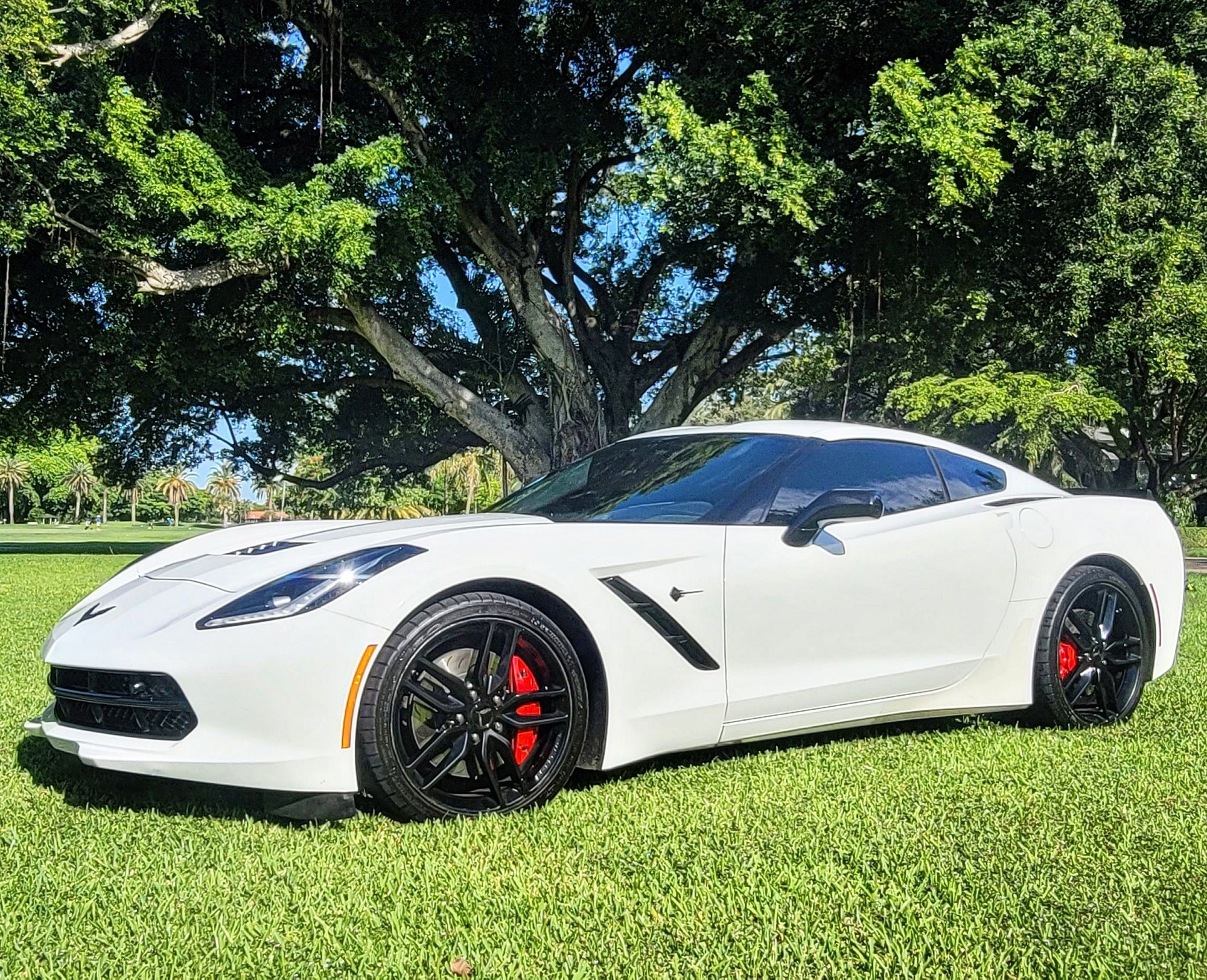 New Member and first question - CorvetteForum - Chevrolet Corvette ...