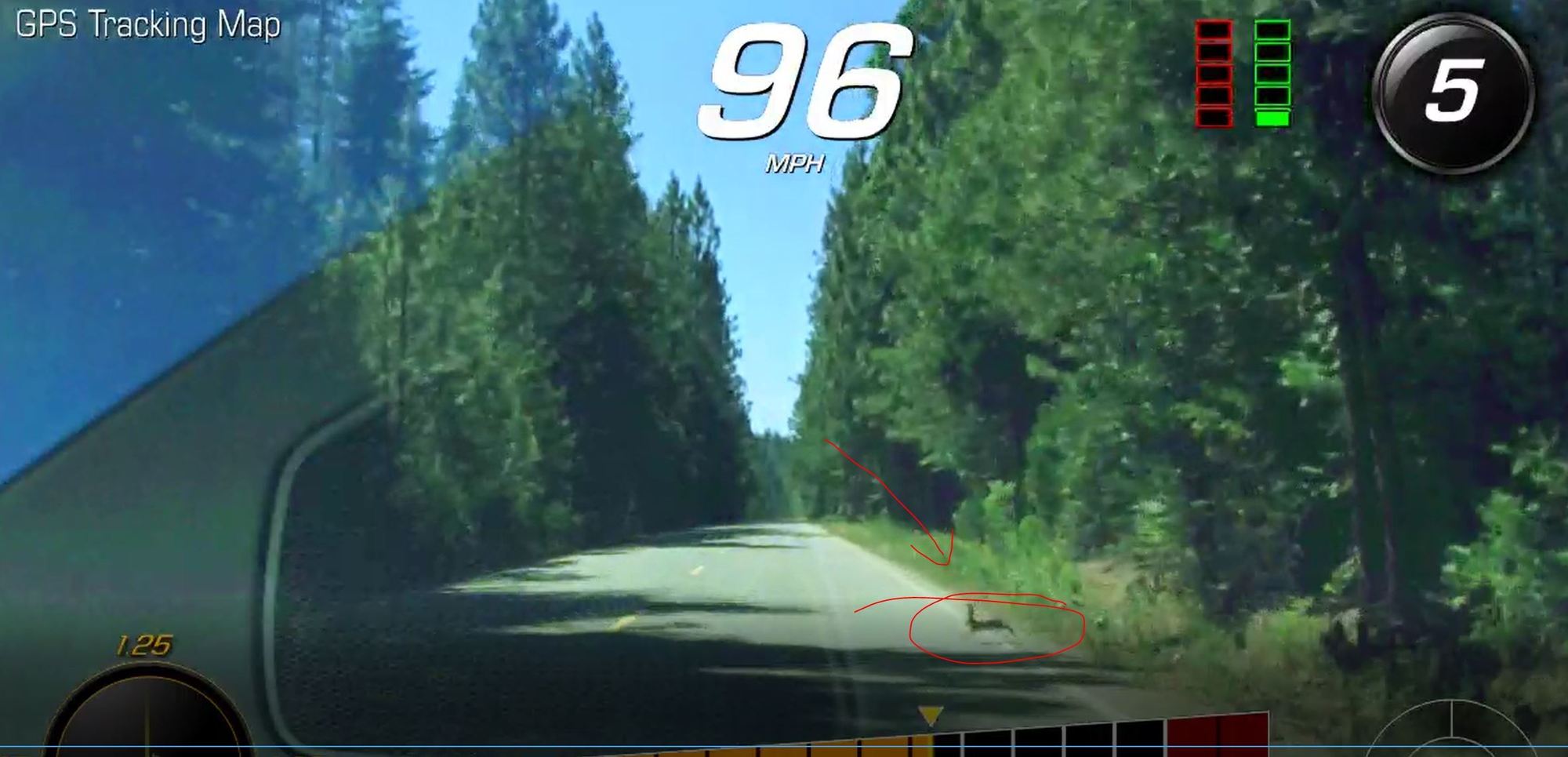 96 MPH Corvette vs Bunny - CorvetteForum - Chevrolet Corvette Forum ...