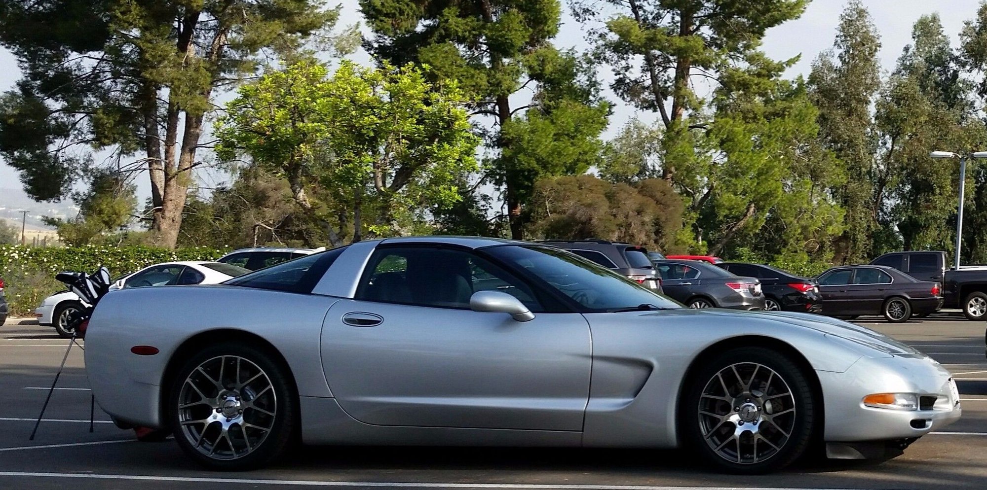 I LOVE Vette Pics, Post yours here! - Page 222 - CorvetteForum ...