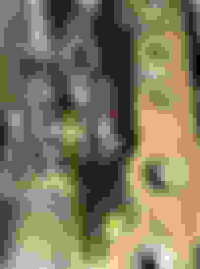 C1 Blue Flame 6 Running Rough - CorvetteForum - Chevrolet Corvette ...