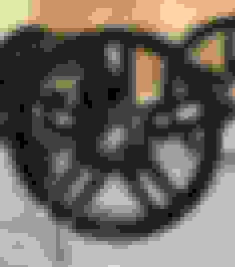 What is the paint code for 2019 silver Z51 wheels? - CorvetteForum ...