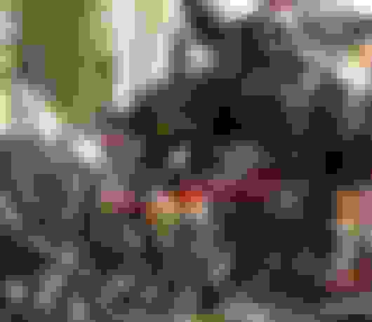 Putting a 426 HEMI in a C1 - Page 2 - CorvetteForum - Chevrolet ...