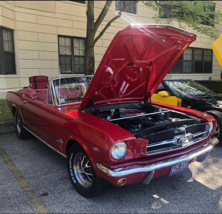 Brookdale Lisle Car Show - CorvetteForum - Chevrolet Corvette Forum ...