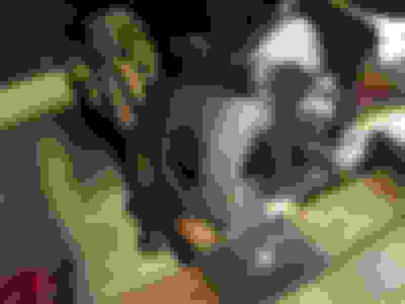 C1 disc brake conversion hits stock rims. - CorvetteForum - Chevrolet ...