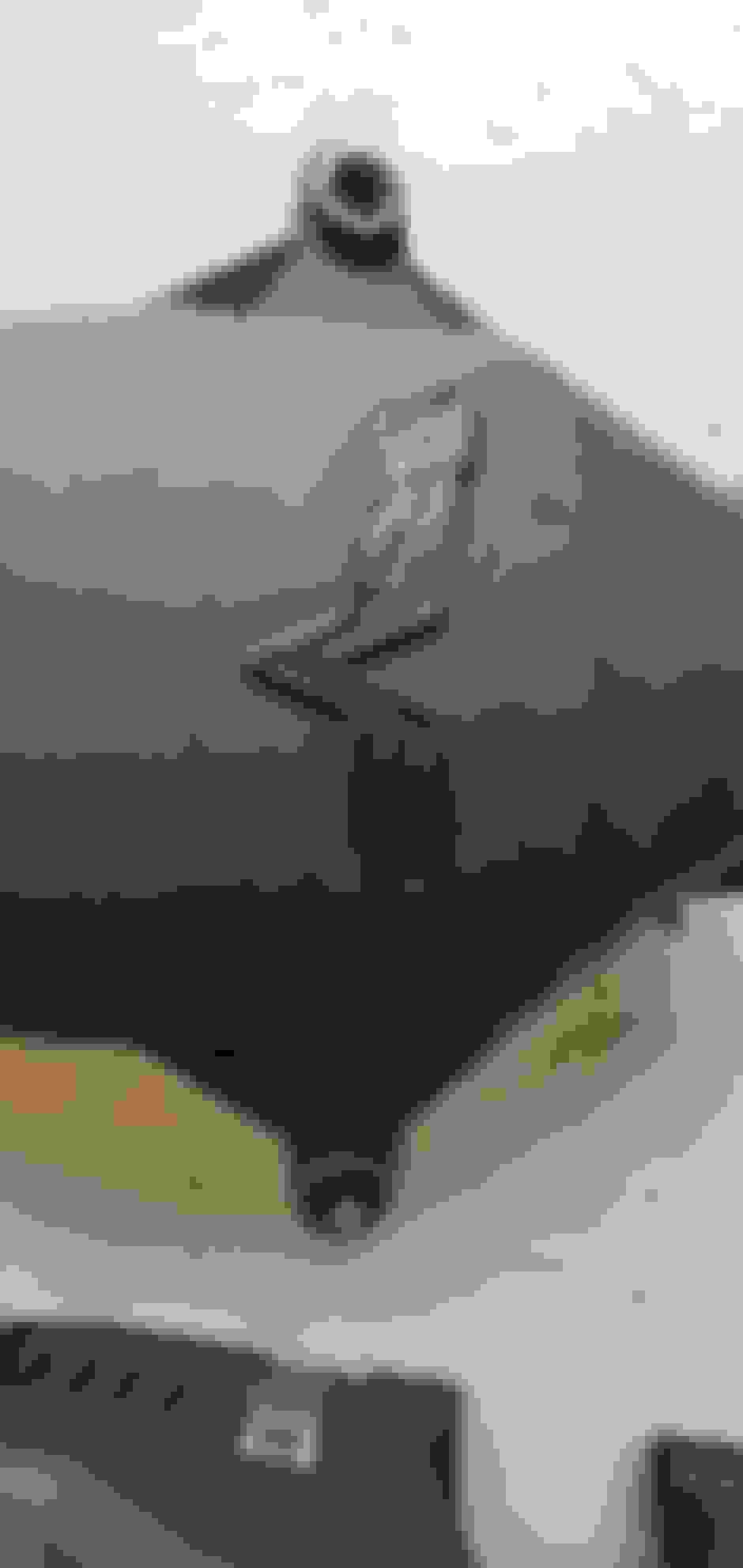 FS (For Sale) C6 LS2 Air Intake and Filter Housings - CorvetteForum ...