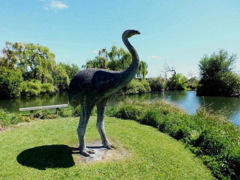 A real concrete Moa photo by rosinabloom on Garden Showcase