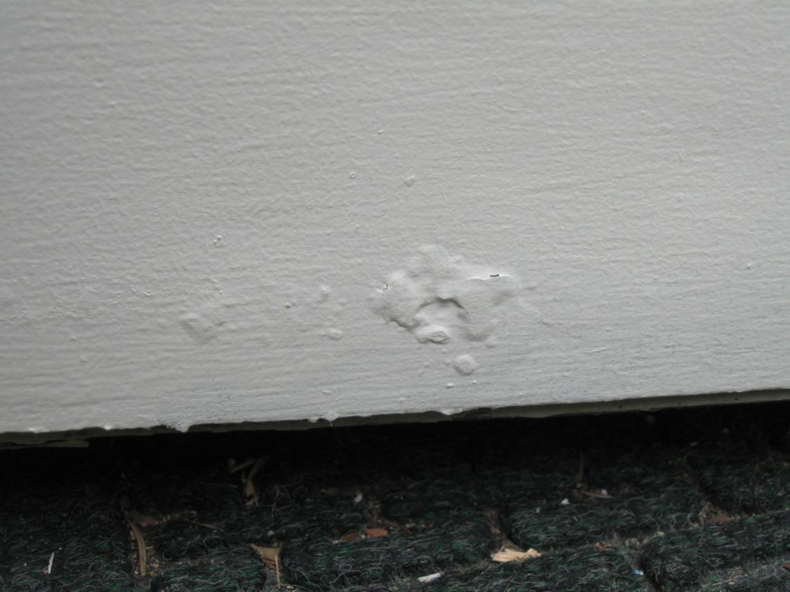 exterior door rust repair - DoItYourself.com Community Forums