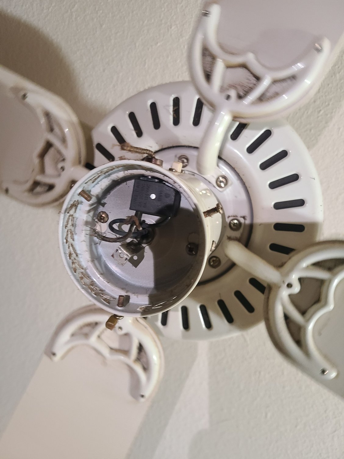 Ceiling fan light socket fell out. - DoItYourself.com Community Forums