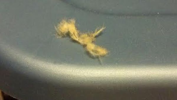 Yellow Fluffy Insulation Coming Out of HVAC Vents - DoItYourself.com ...